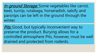 Storing Vegetables.pptx