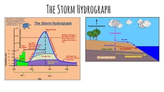 Storm Hydrographs | PPTX