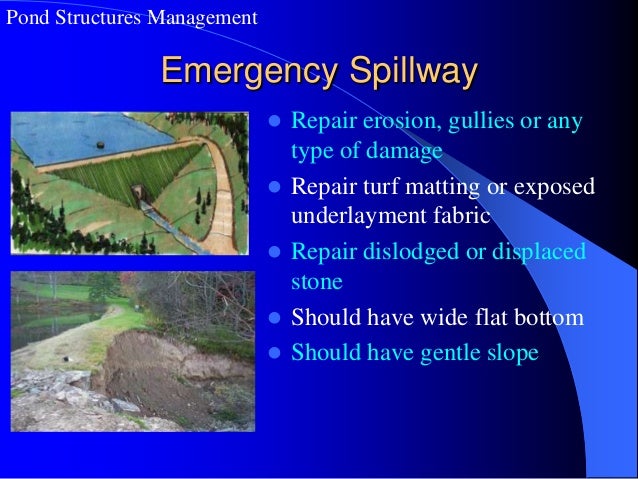 Pond Emergency Spillway