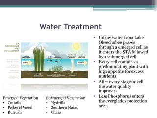 Storm water treatment areas | PPT