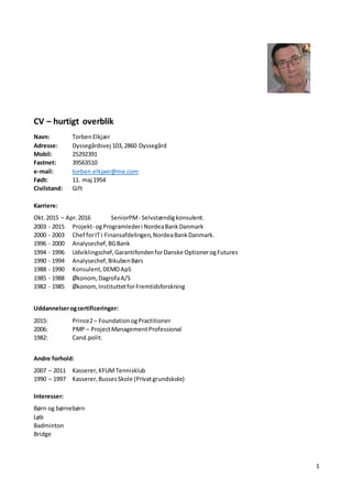 Stort cv dk | DOCX