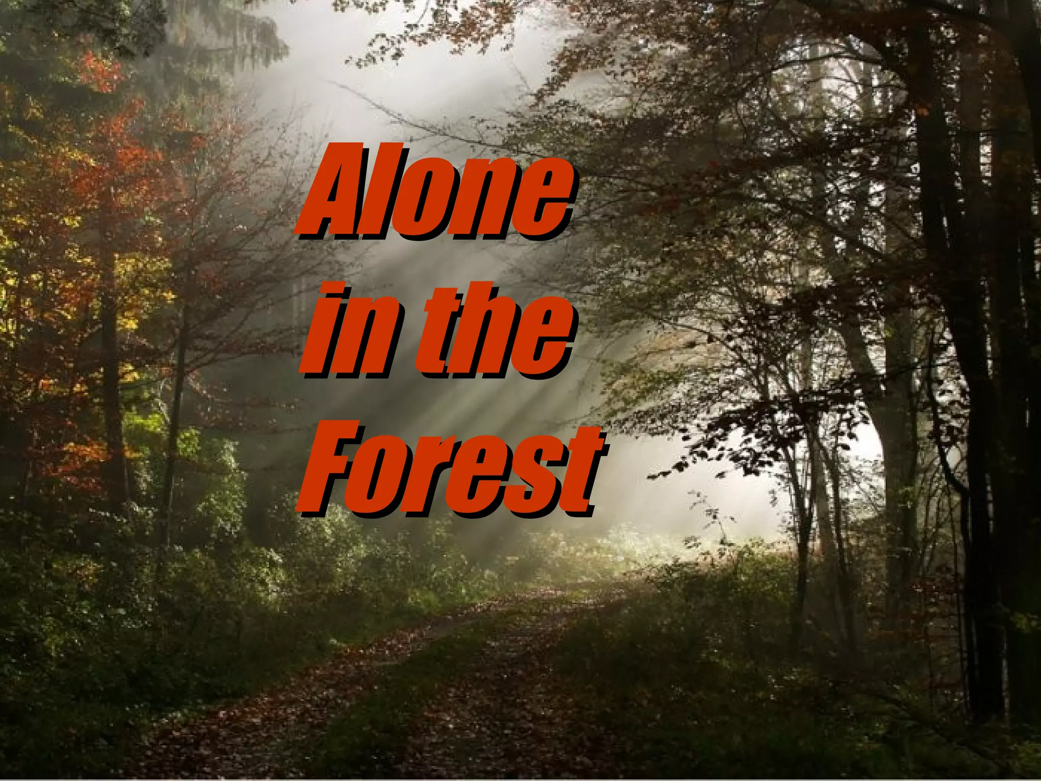 Story - Alone In The Forest | PPT