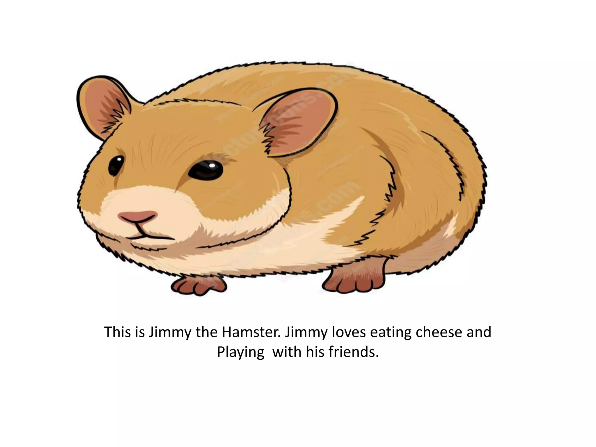 Jimmy the space hamster | PPTX