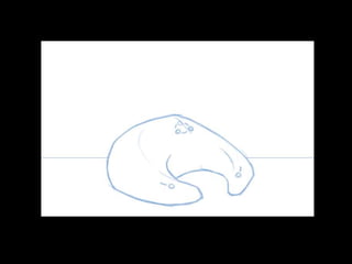 Blobject Storyboard | PPTX