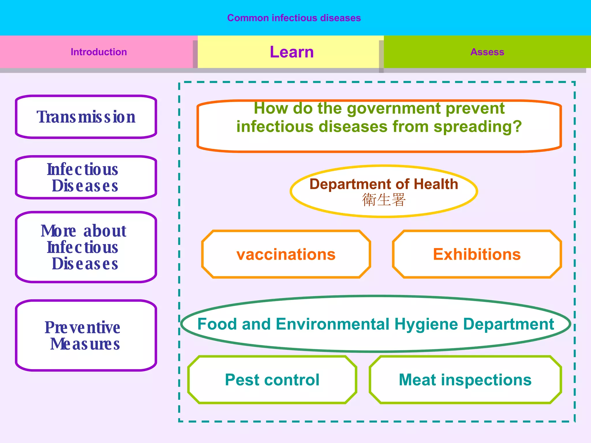 Common Infectious Diseases | PPT
