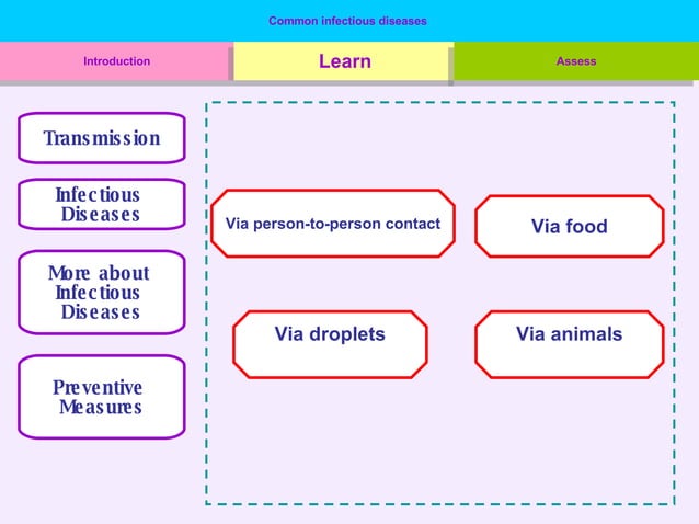 Common Infectious Diseases | PPT