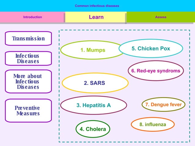 Common Infectious Diseases | PPT