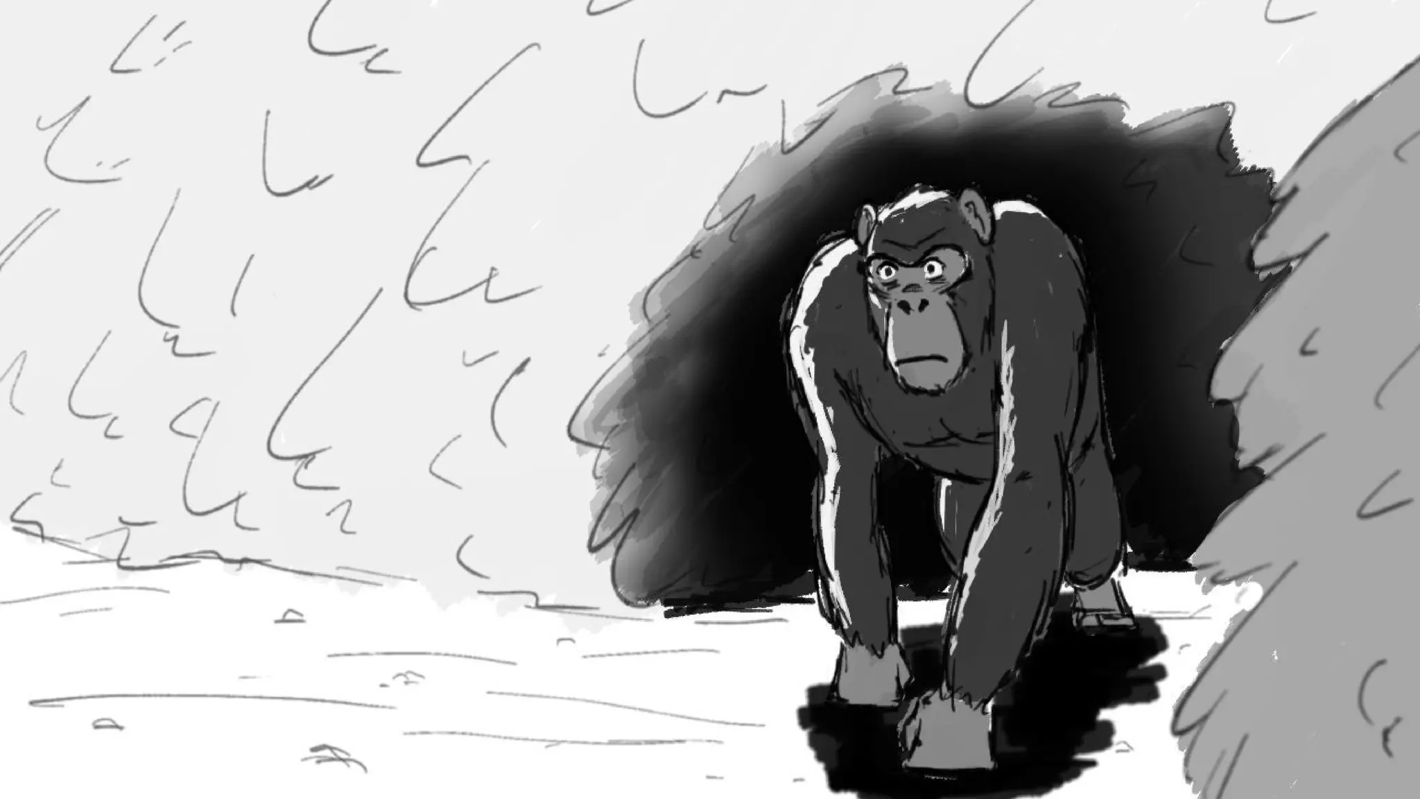 Storyboard - Next 5 - Chimp vs Boy | PPT