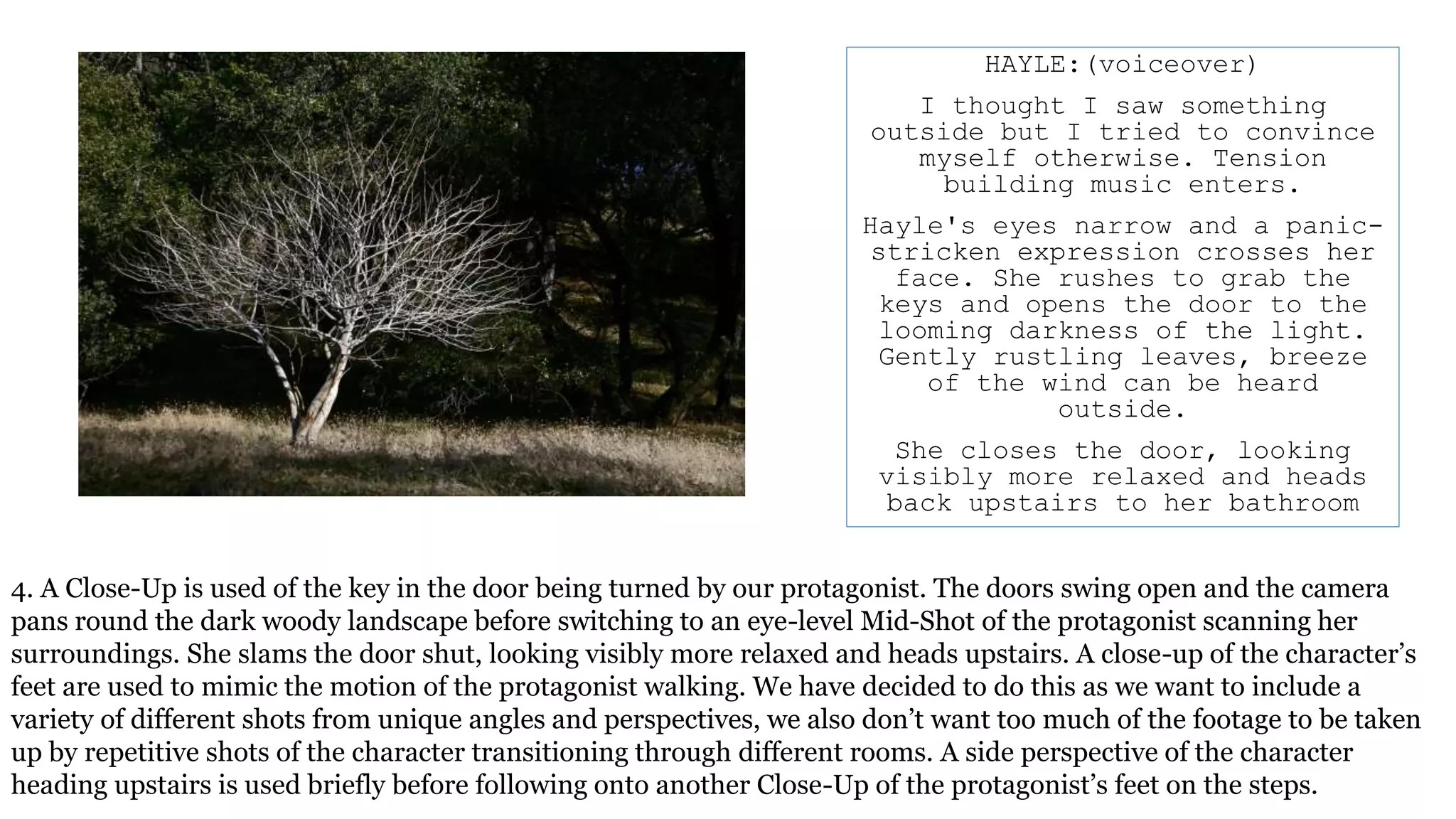 Storyboard – flashback sequence | PPTX