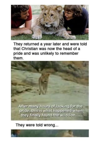 These Picture Will Tell You That Humanity Still Exist | PDF