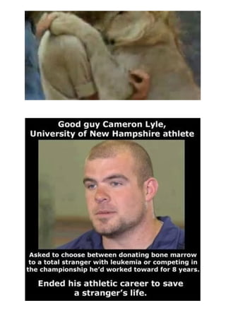 These Picture Will Tell You That Humanity Still Exist | PDF