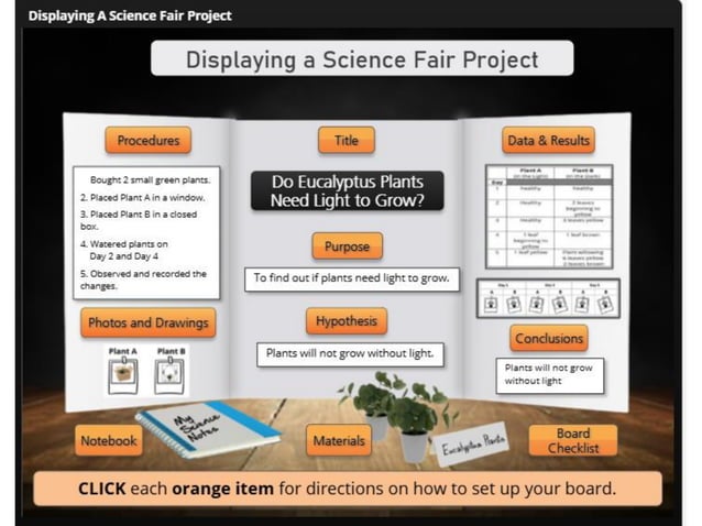 The Science Fair Project (Storyline 360) - Copy and paste the link | PDF