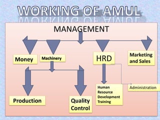 STORY OF AMUL | PPTX