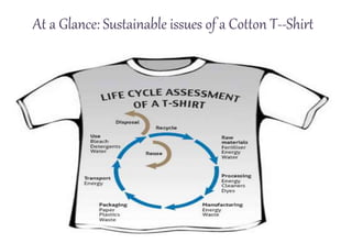 Story of a cotton T-shirt | PPT