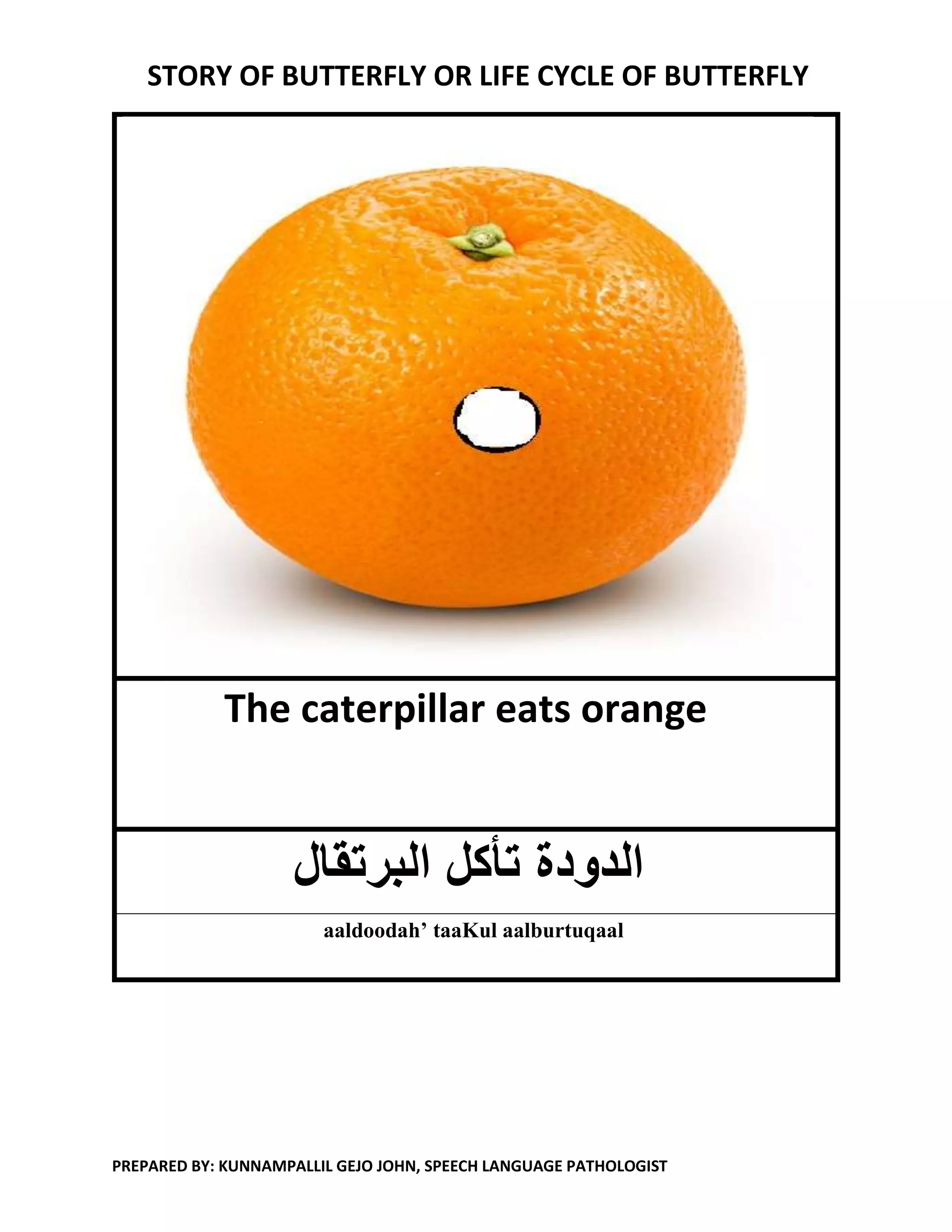 Story of butterfly or life cycle of butterfly in English and Arabic | PDF