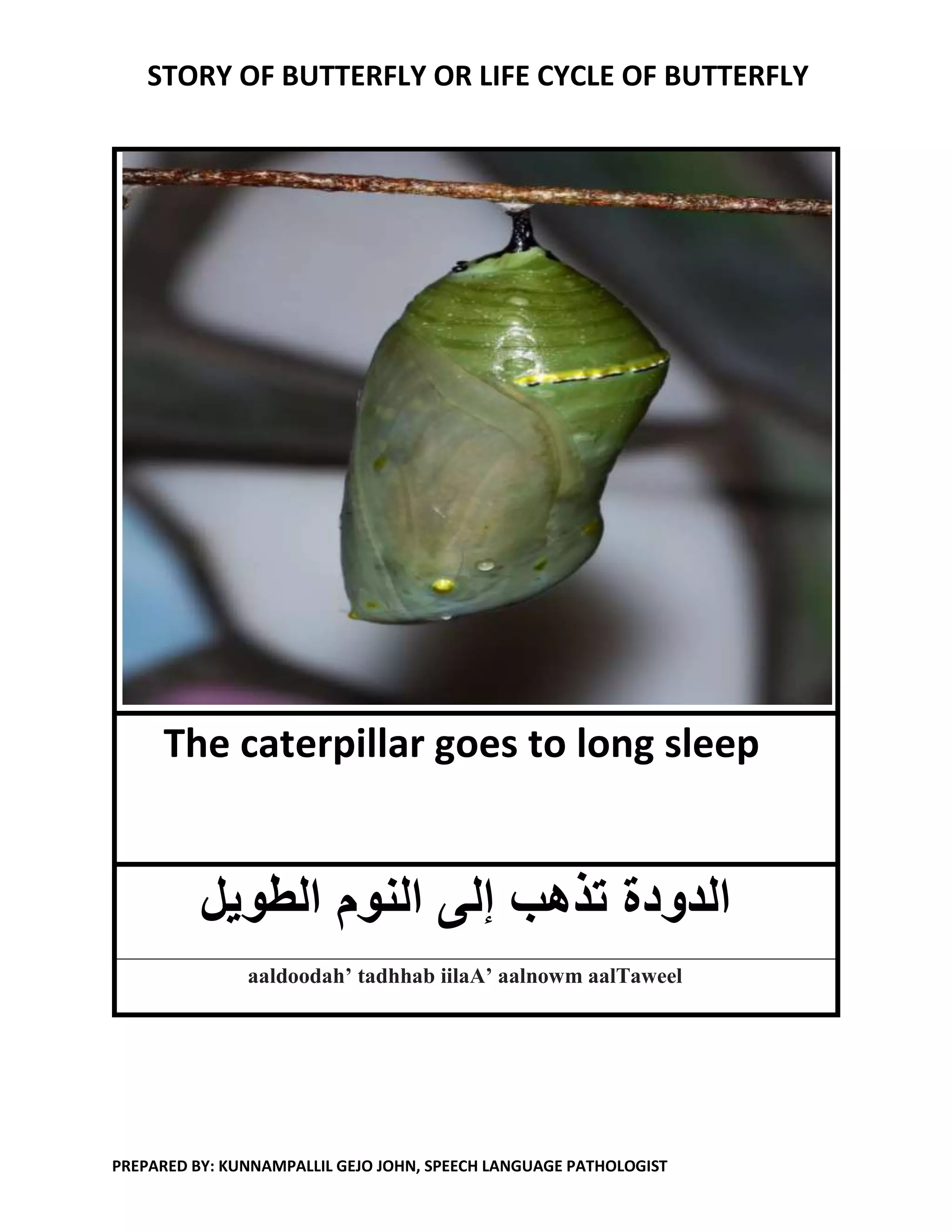 Story of butterfly or life cycle of butterfly in English and Arabic | PDF