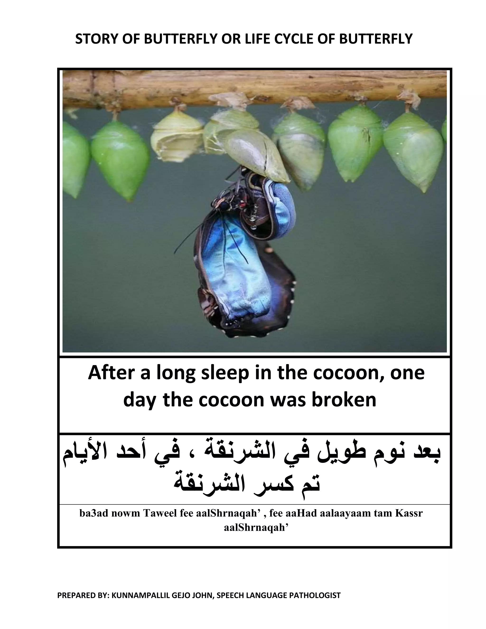 Story of butterfly or life cycle of butterfly in English and Arabic | PDF