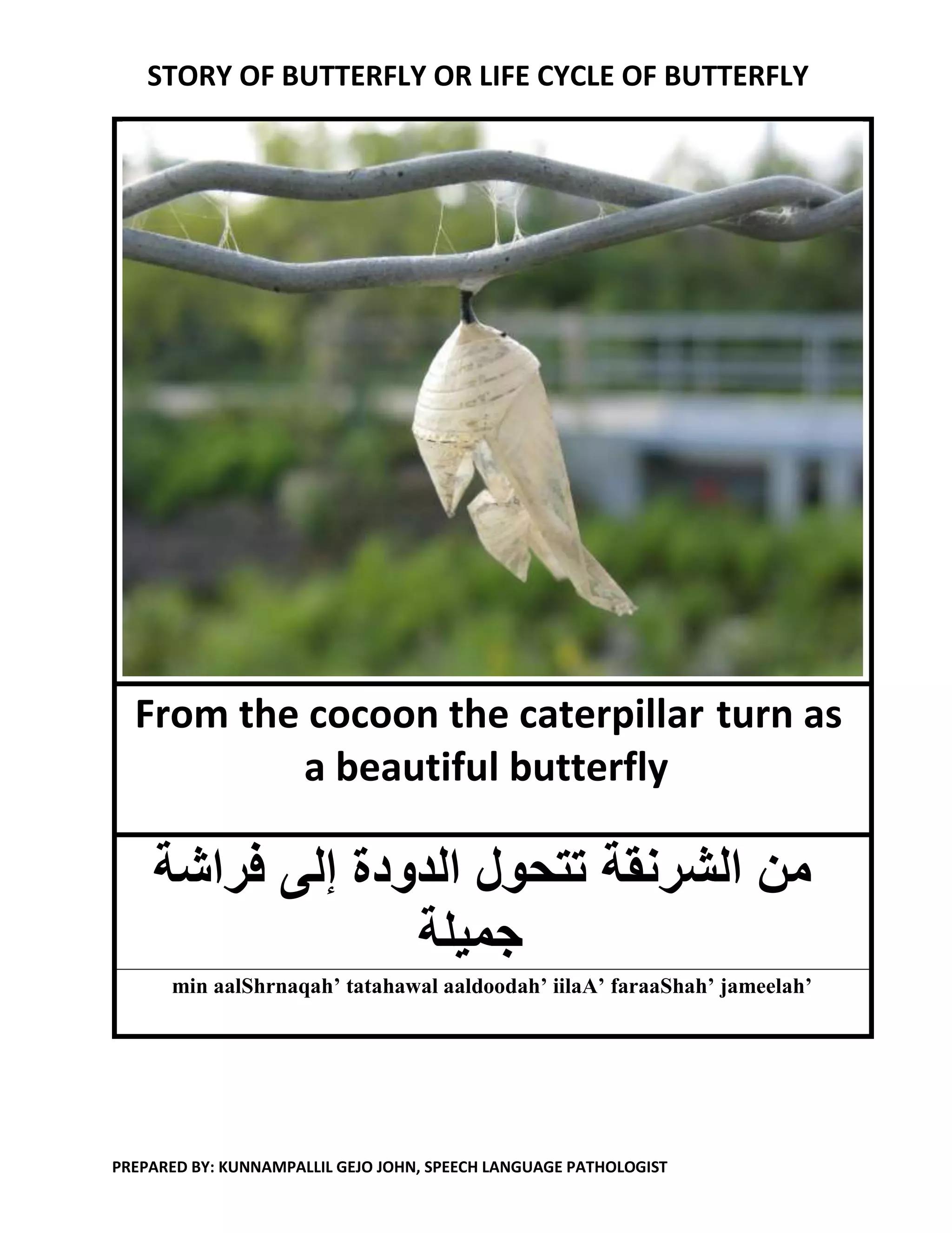 Story of butterfly or life cycle of butterfly in English and Arabic | PDF