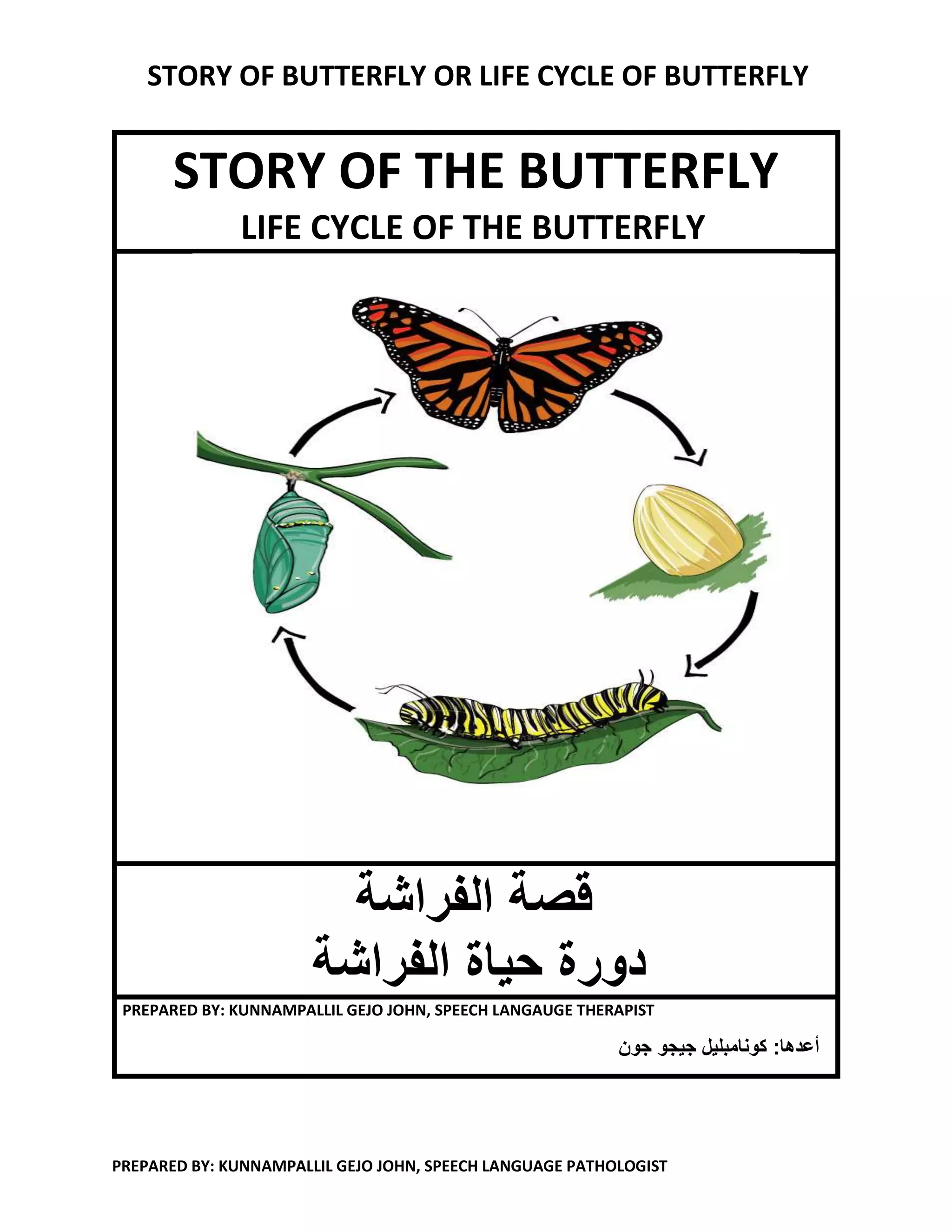 Story of butterfly or life cycle of butterfly in English and Arabic | PDF