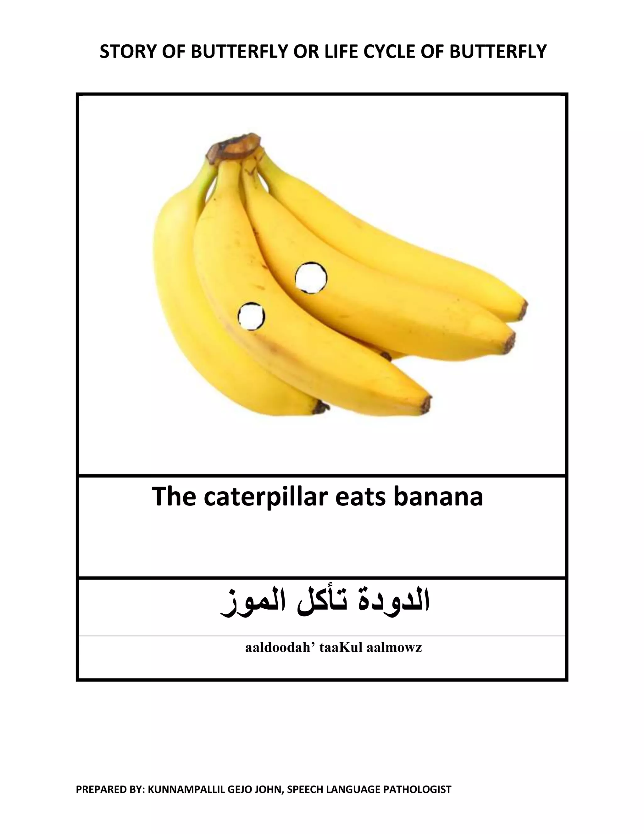 Story of butterfly or life cycle of butterfly in English and Arabic | PDF