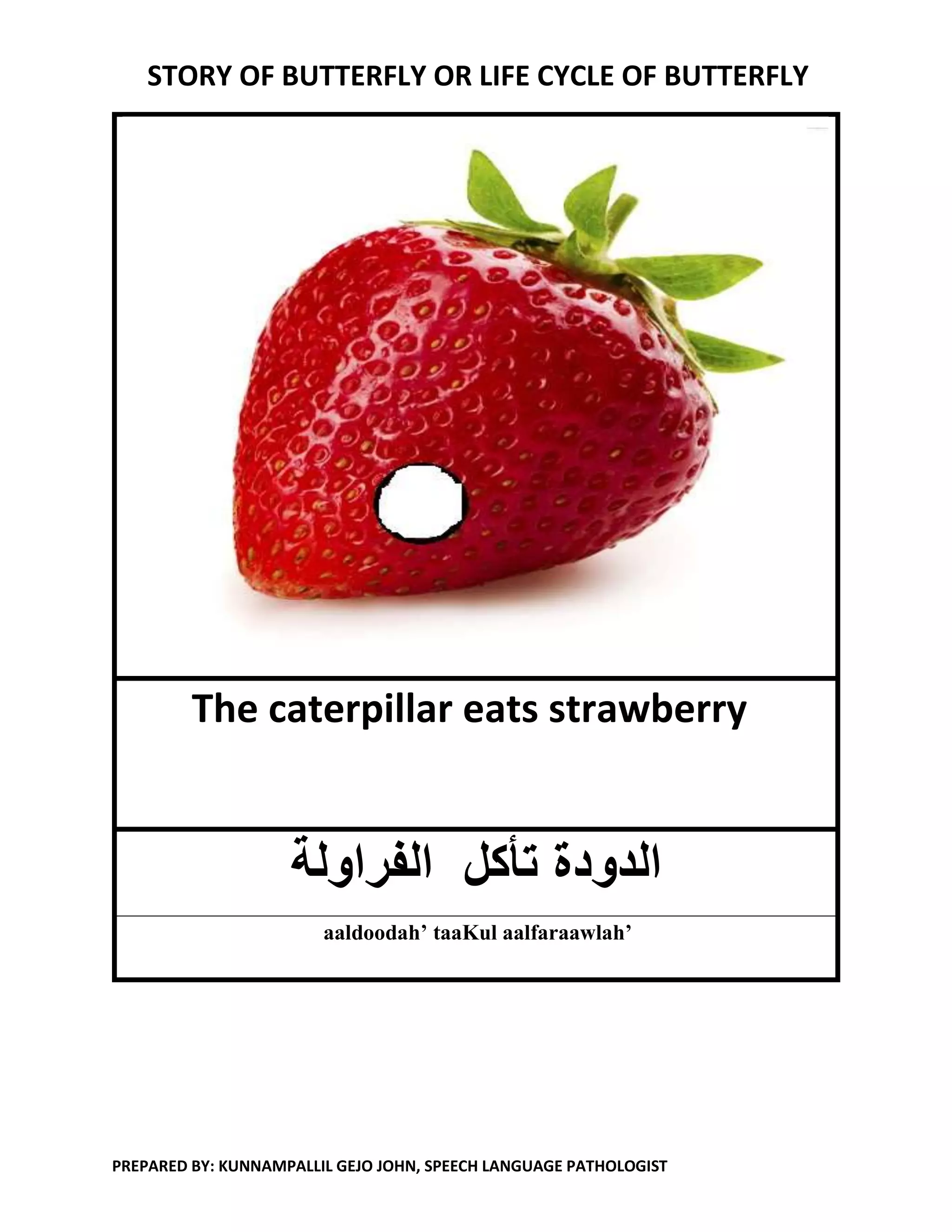Story of butterfly or life cycle of butterfly in English and Arabic | PDF
