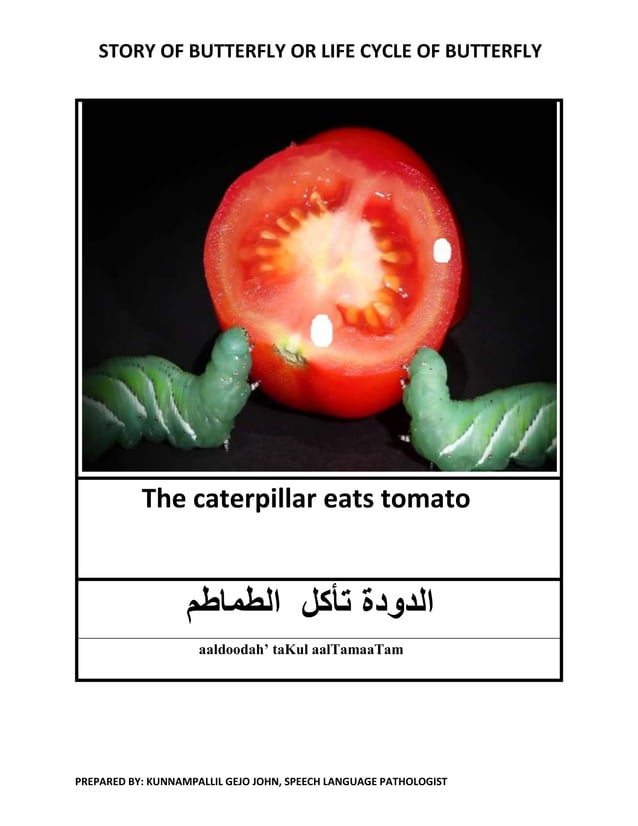 Story of butterfly or life cycle of butterfly in English and Arabic | PDF