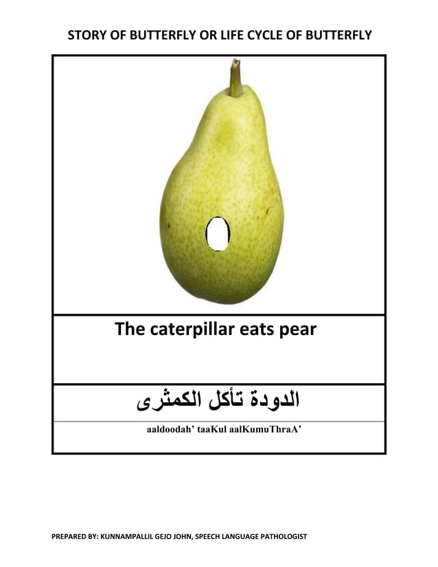 Story of butterfly or life cycle of butterfly in English and Arabic | PDF