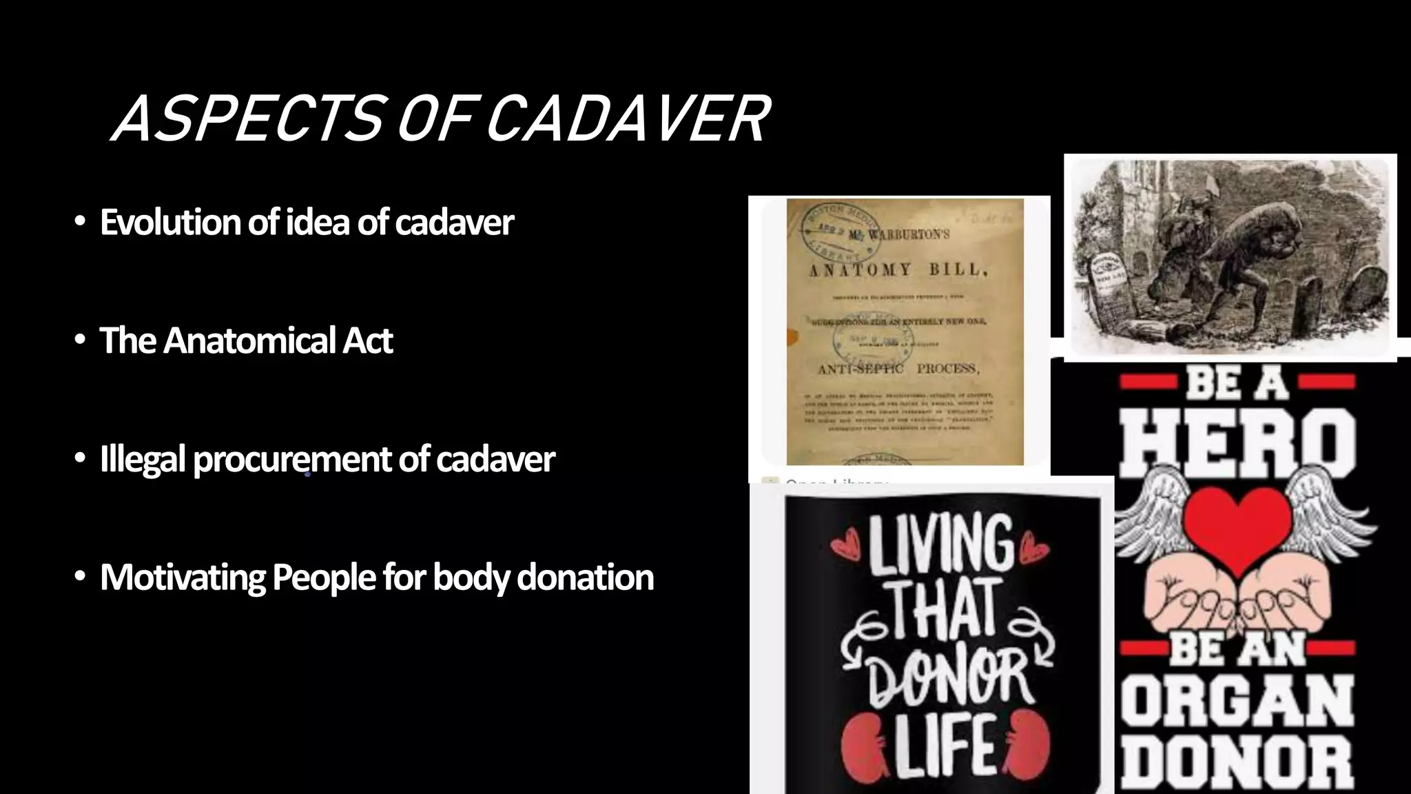 STORY OF CADEVER.pptx