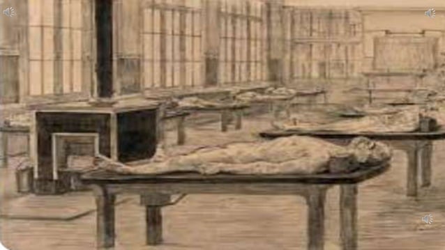 STORY OF CADEVER.pptx