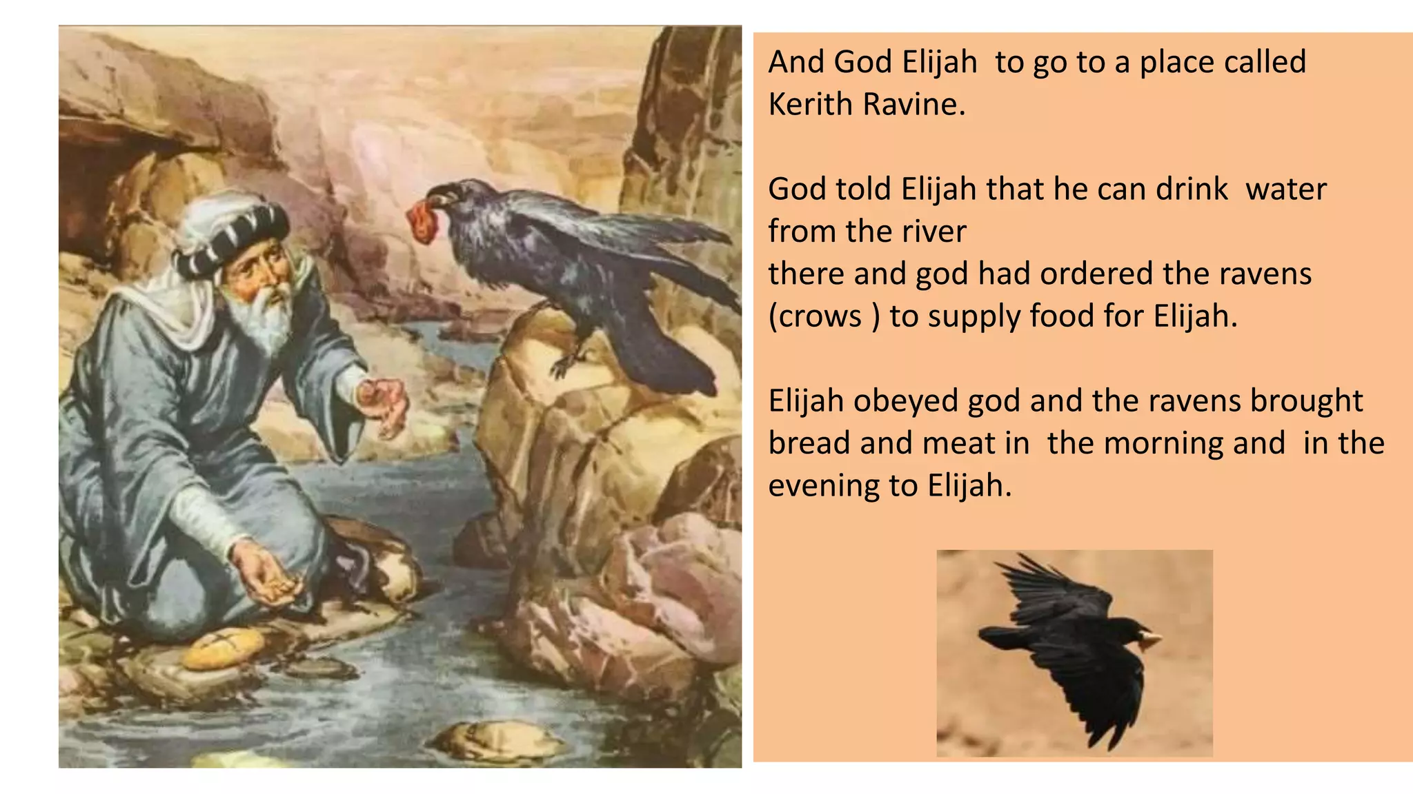 Story of elijah | PPTX