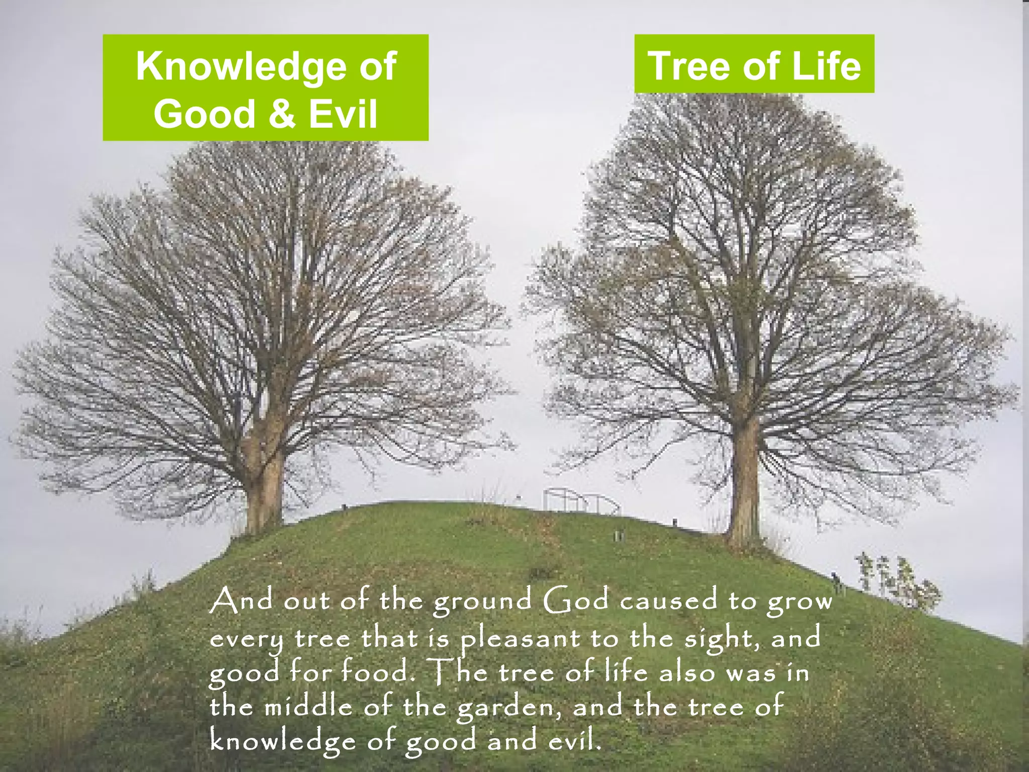 Story of garden of eden | PPT