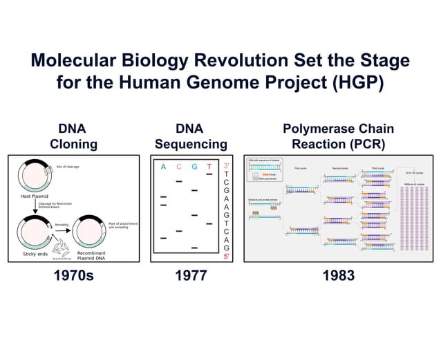 Story_of_HGP_As_Told_by_Front-line_Participant.pdf
