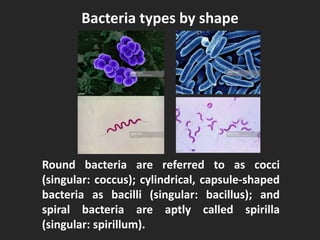 Story of micro organisms | PPTX