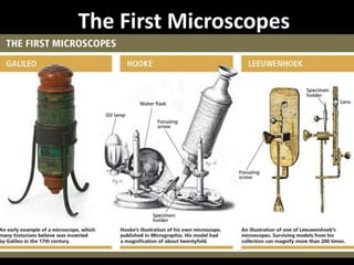 Story of micro organisms | PPT