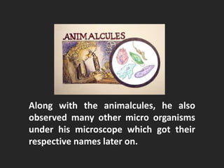 Story of micro organisms | PPT