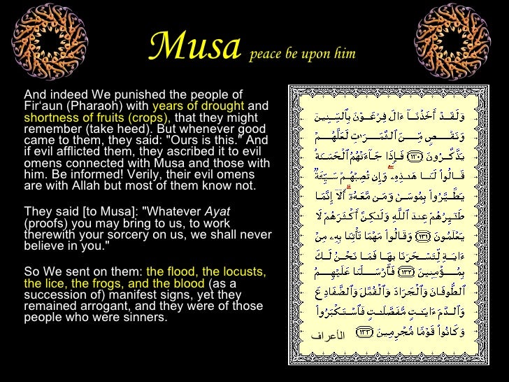 Story Of Musa 7