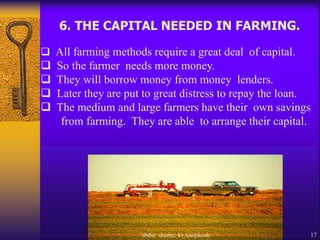 The Story of Village Palampur, Economics class 9 cbse | PDF