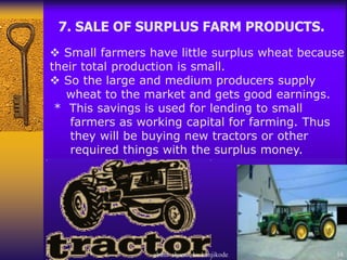 The Story of Village Palampur, Economics class 9 cbse | PDF