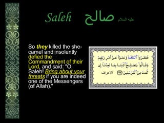 Story Of Saleh | PPS