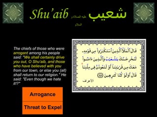 Story Of Shuaib | PPS