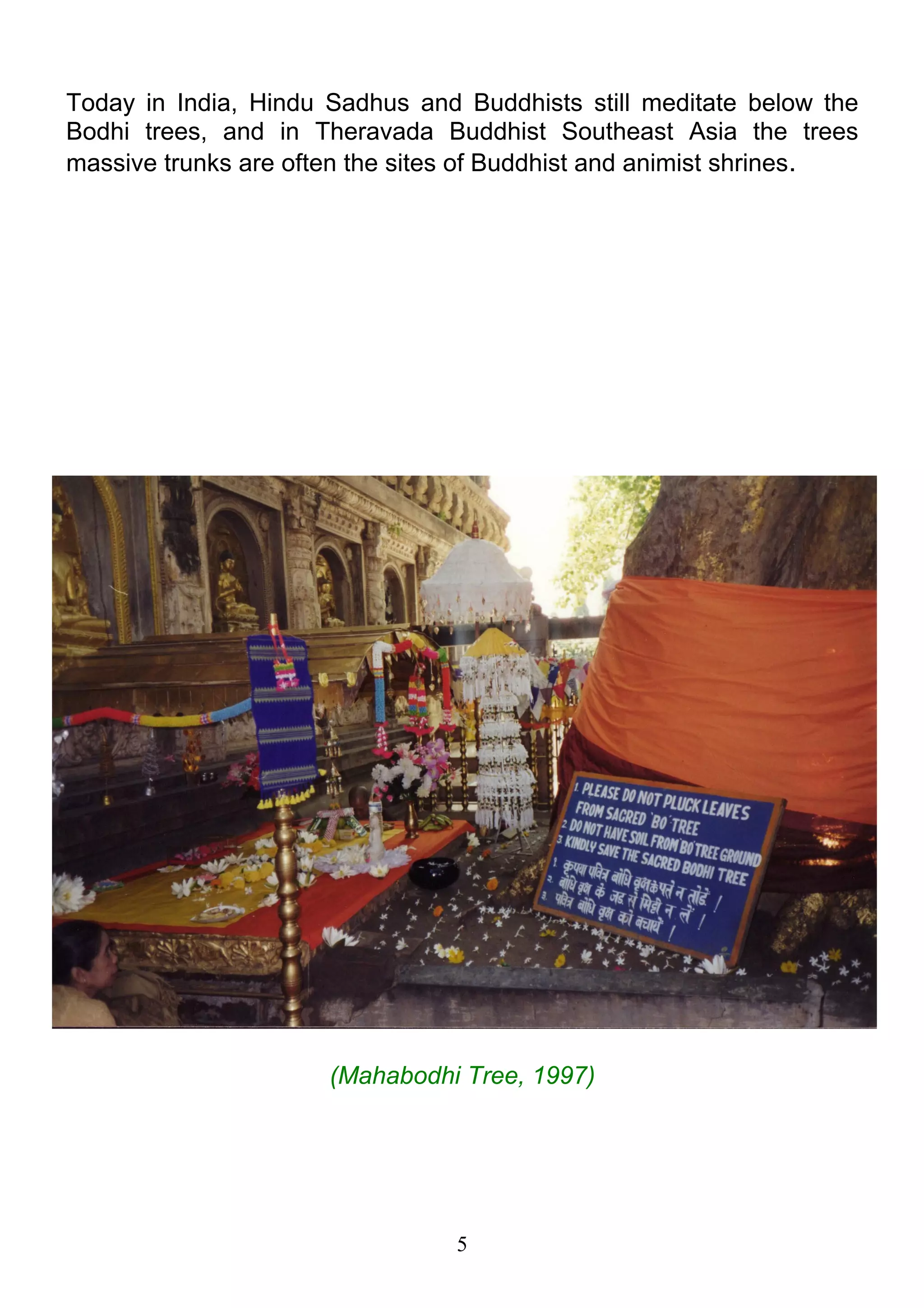 Story of the Bodhi Tree | PDF