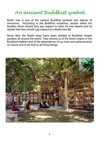 Buddhist Symbols Bodhi Tree