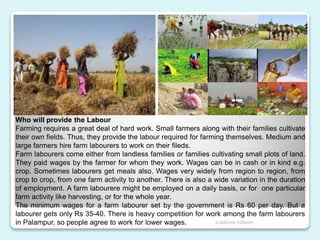 story of village palampur suhailpasha | PPT