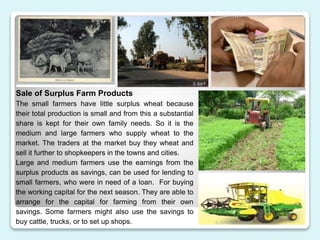 story of village palampur suhailpasha | PPTX