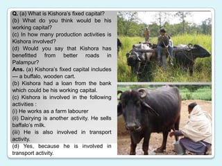 Story of village palampur | PPTX