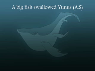 Story of Prophet Yunus (A.S) | PPTX