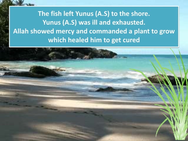 Story of Prophet Yunus (A.S) | PPTX | Islam | Religion & Spirituality