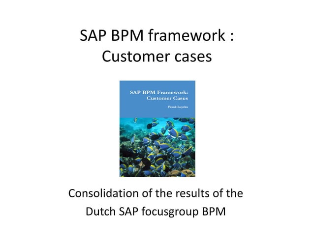 History SAP BPM Framework | PDF | Business Administration | Business