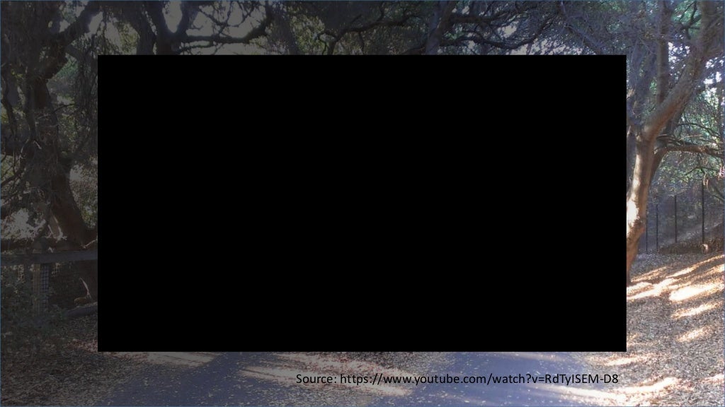 Micro Markenomics: Storytelling and Branding