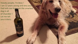 Story telling by boss | PDF